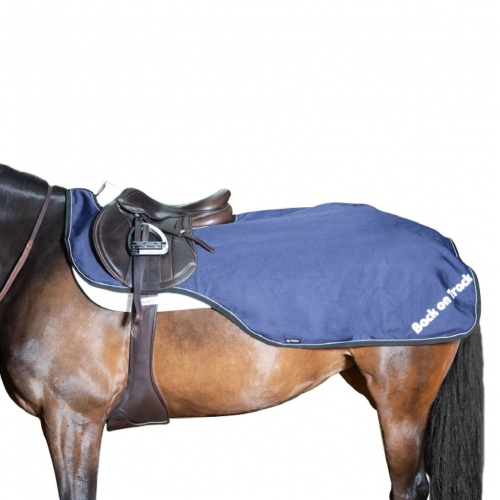 Back on Track Sammy Exercise Rug