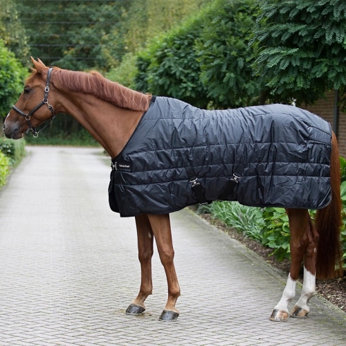 Back on Track Rime Mia Stable Rug