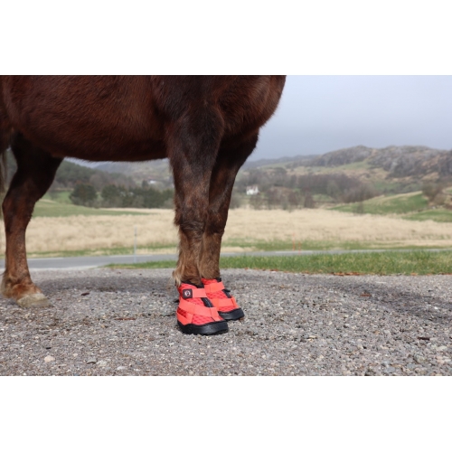 Equine Fusion RECOVERY Horse Hoof Boots - PAIR
