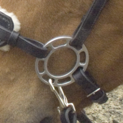 Horse Rein Clips - Pair