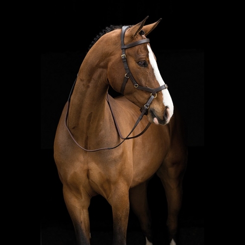 A Horseware Micklem Multi Bridle