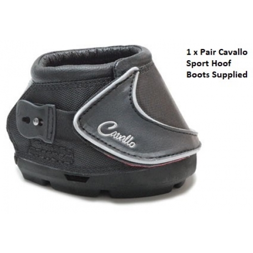Cavallo Sport Horse Hoof Boots - REGULAR - PAIR