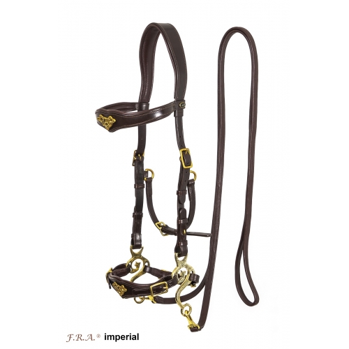 Imperial Baroque Hackamore Bitless Bridle & Reins
